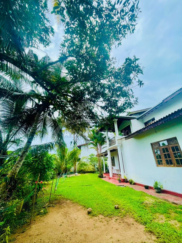 House For Sale In Kesbewa in Sri Lanka | Anything at your fingertips ...